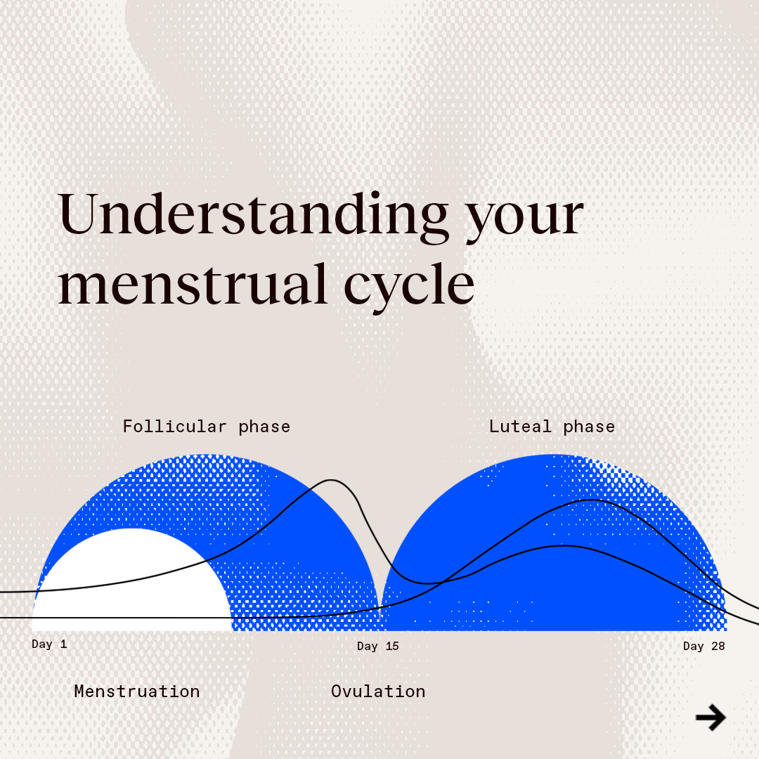 What is a menstrual cycle and how is it different from a period? – Fluus